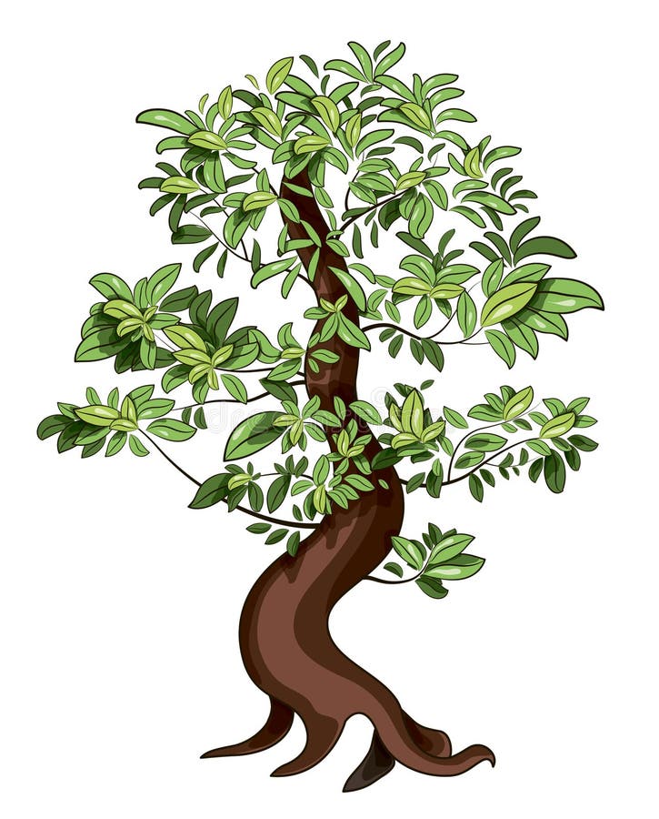 Decorative Ficus Benjamina Tree Top View Vector Illustration Stock Vector Illustration Of