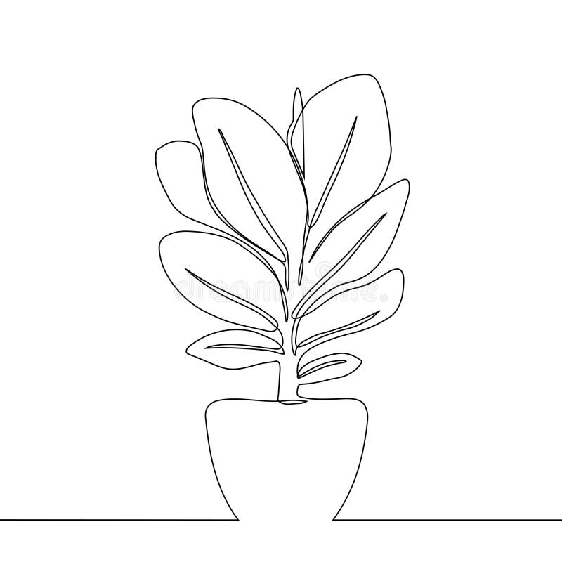 One Line Ficus Plant. Continuous Line Leaves Of The Plant In A Modern ...