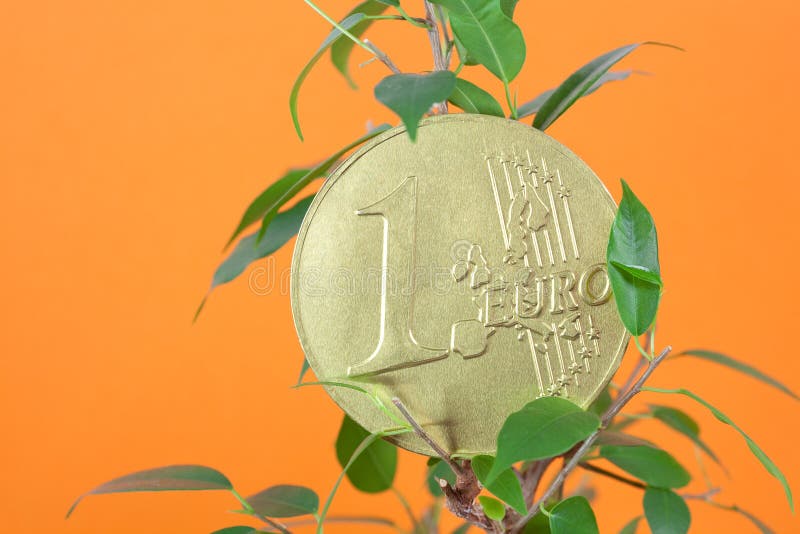 Ficus and one euro coin stock photo. Image of metal, home - 18109320