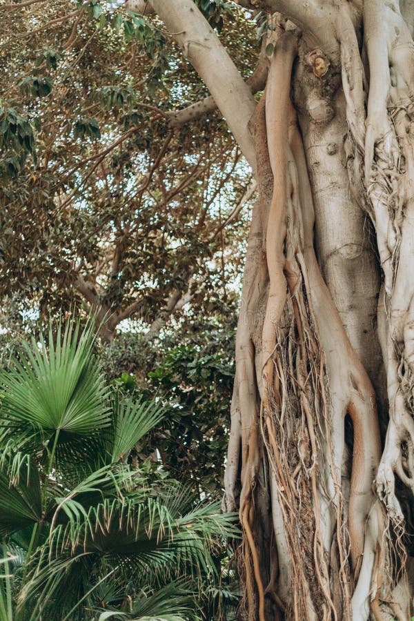 Photo from the Trip in Alicante, Spain Stock Photo - Image of ...