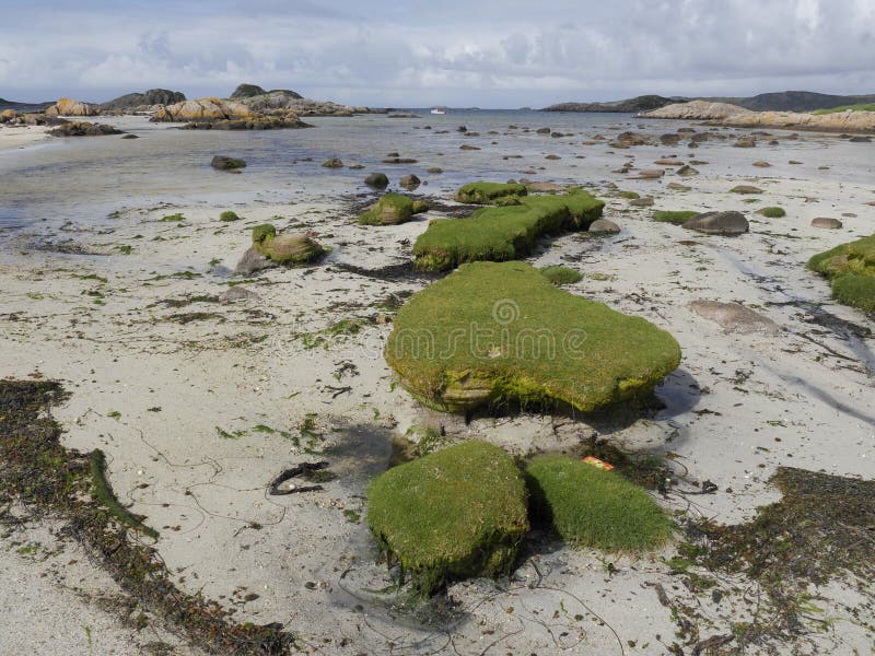 Fidden, Ros of Mull stock photo. Image of coast, beach - 57524958