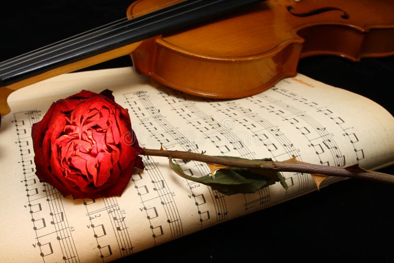 Fiddle stock image. Image of folk, close, antigue, classical - 8194529