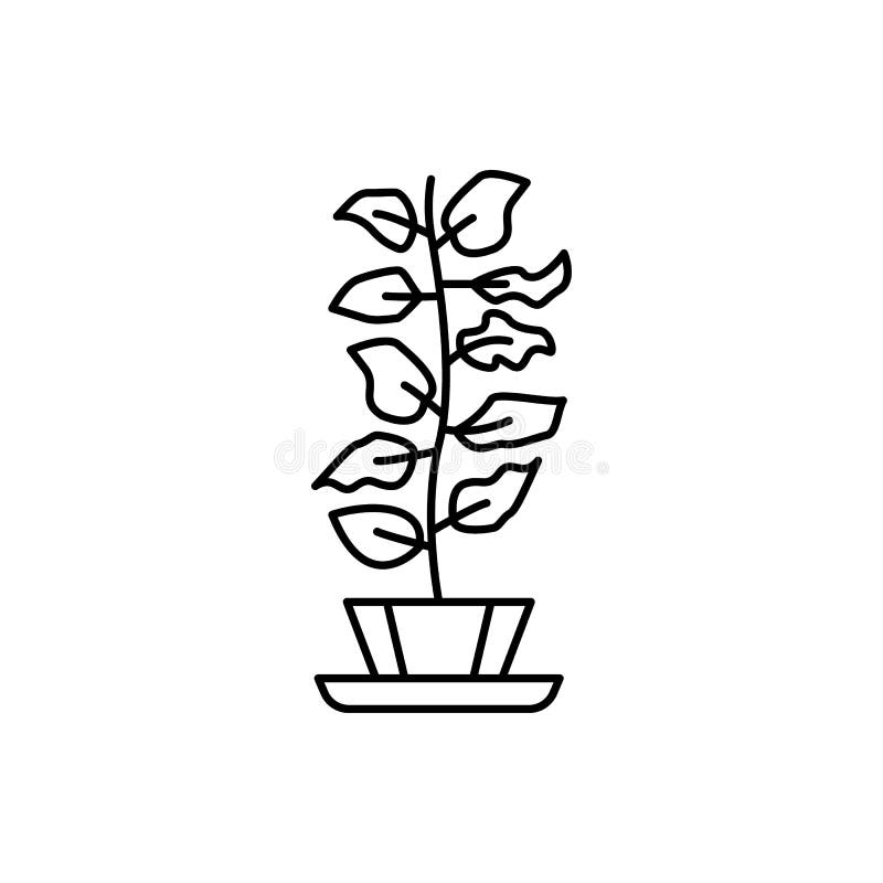 Fiddle Leaf Fig Icon. Simple Line, Outline Vector Elements of House ...