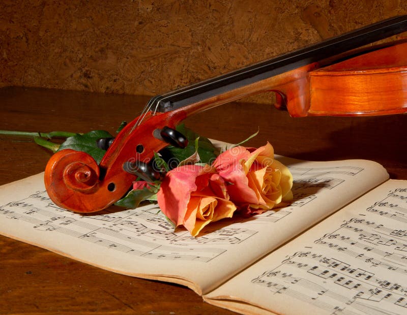 Fiddle and roses stock image. Image of classical, paper - 3588477