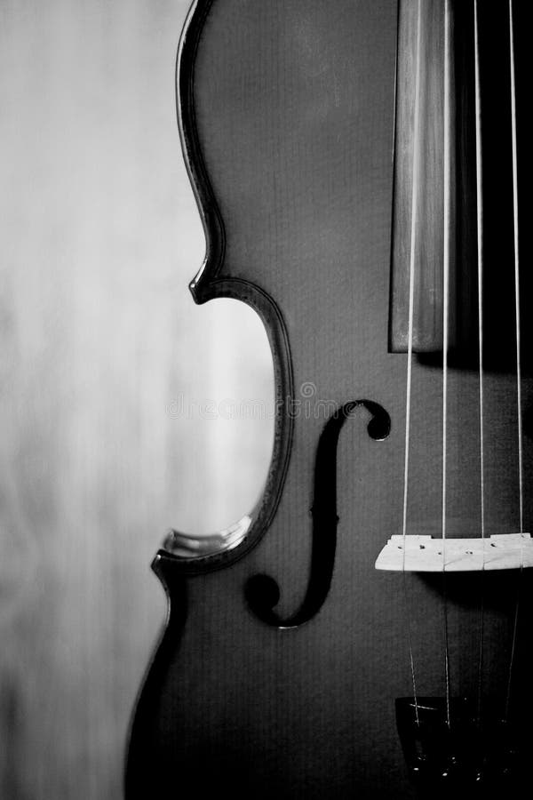 Fiddle 4 String Black and White Songs Instrument Musical Stock Image ...