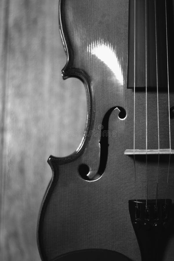 Fiddle Musical Instrument Four String Black and White Style Stock Image ...