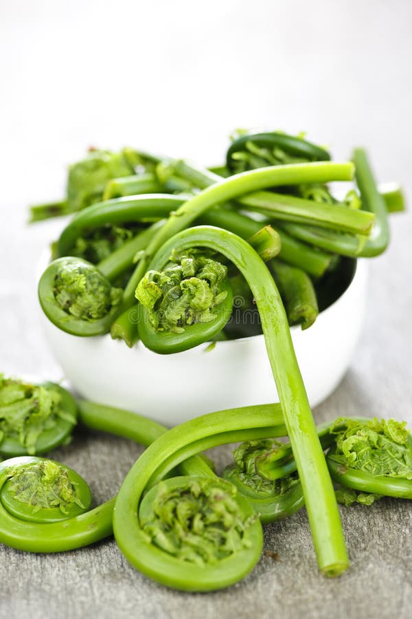 Fiddleheads stock photo. Image of natural, healthy, nature - 14585288