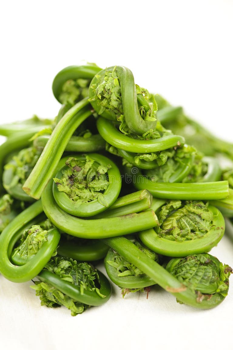 633 Fiddleheads Stock Photos - Free & Royalty-Free Stock Photos from ...
