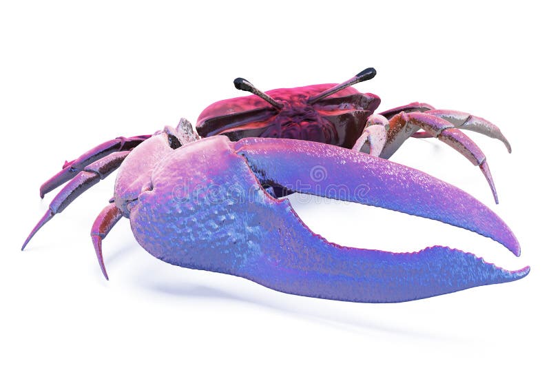 Fiddler Crab Stock Illustrations – 106 Fiddler Crab Stock Illustrations ...