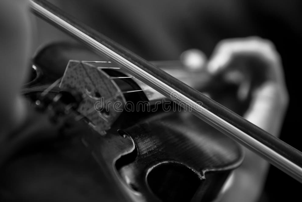 The Fiddlestick on the Strings Violin Closeup Stock Photo - Image of ...