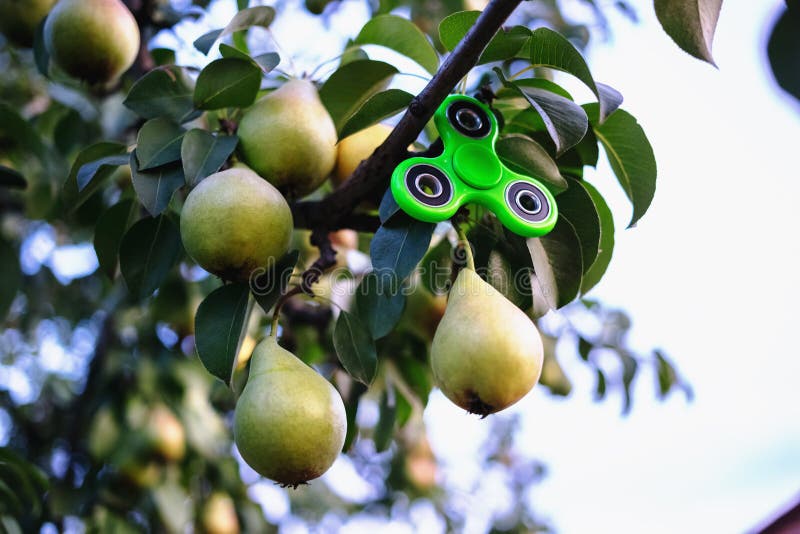 Fidget Spinner Hanging on a Pear Tree Stock Photo - Image of action ...