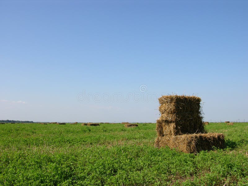Field stock photo. Image of skies, field, blue, landscape - 134422