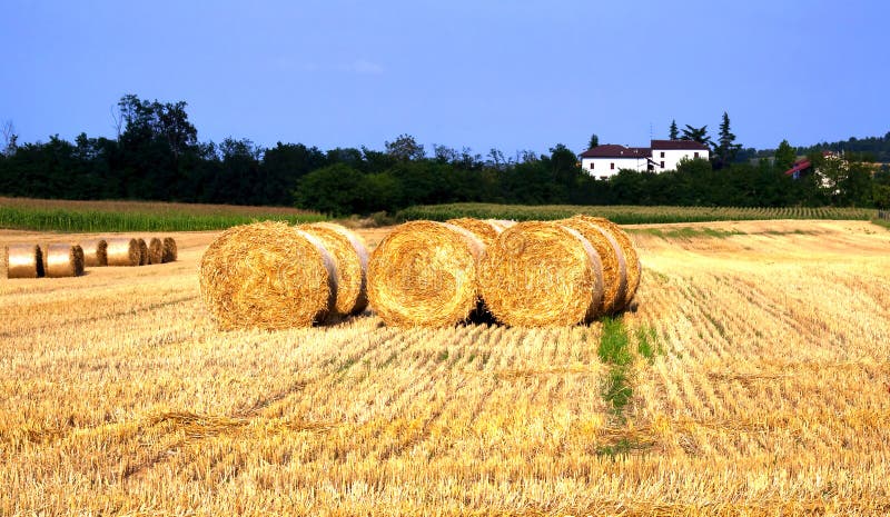 Field stock image. Image of raise, land, ground, agriculture - 14374131