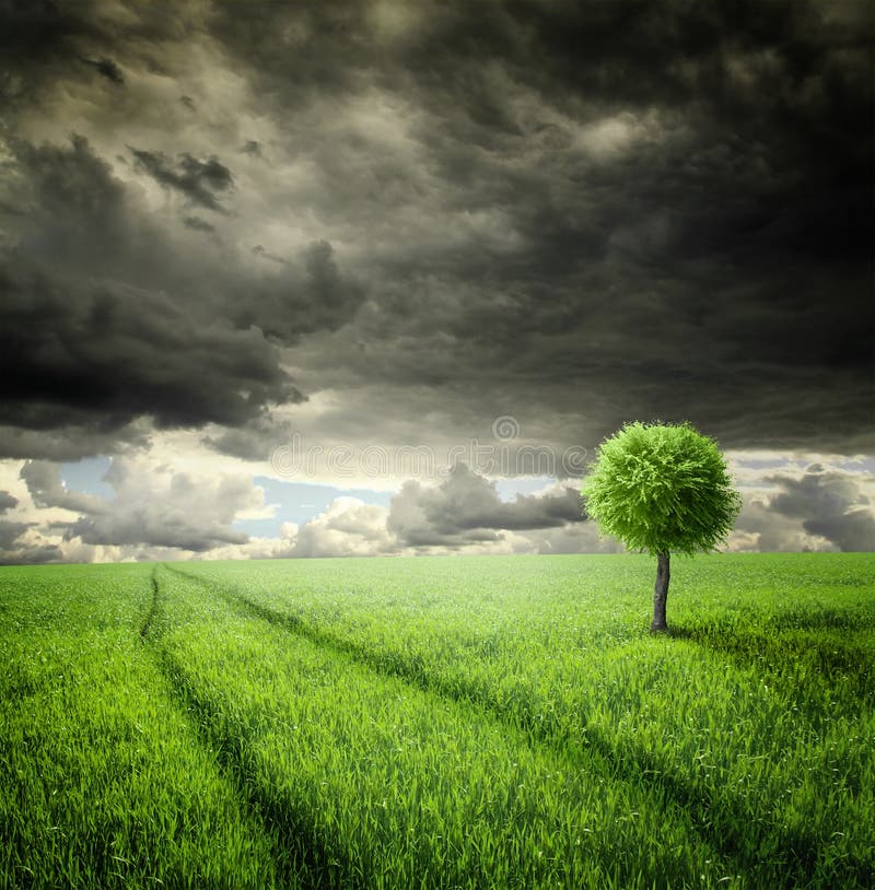 Single Tree and Storm Clouds Stock Photo - Image of tree, grass: 38989058