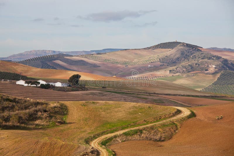 Field stock image. Image of spain, spring, soil, natural - 23177127