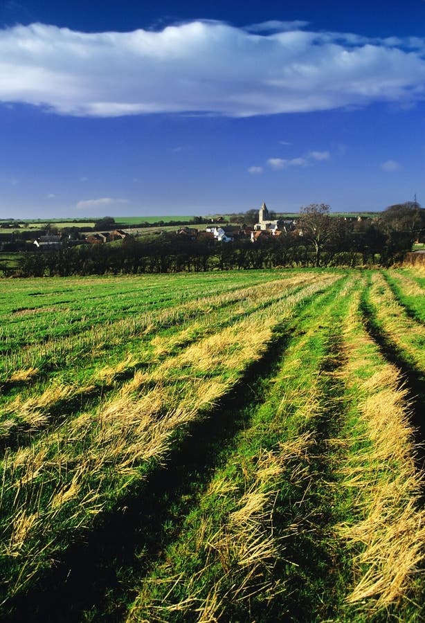 Field stock photo. Image of english, countryside, great - 26153486