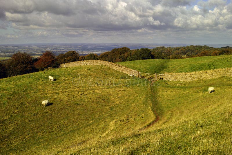Field stock photo. Image of england, field, ecology, green - 27262374