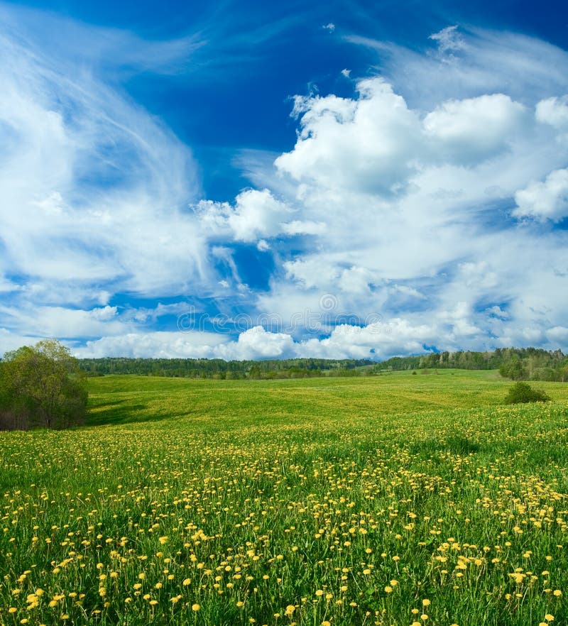 Field stock image. Image of heaven, color, farm, conservation - 3023993