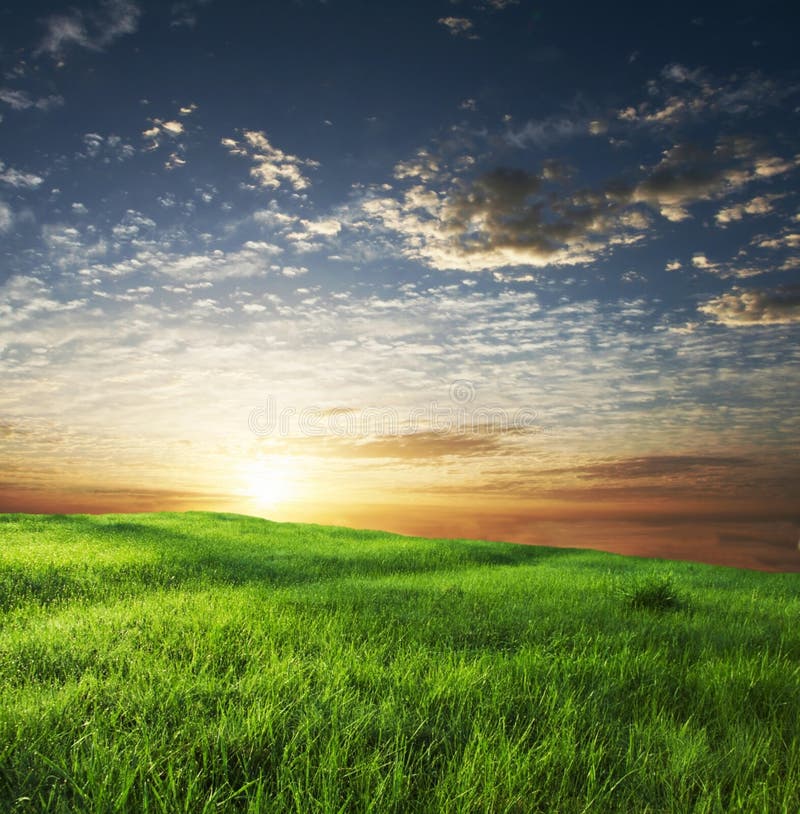 Green field and sunset stock photo. Image of green, idyll - 13768162