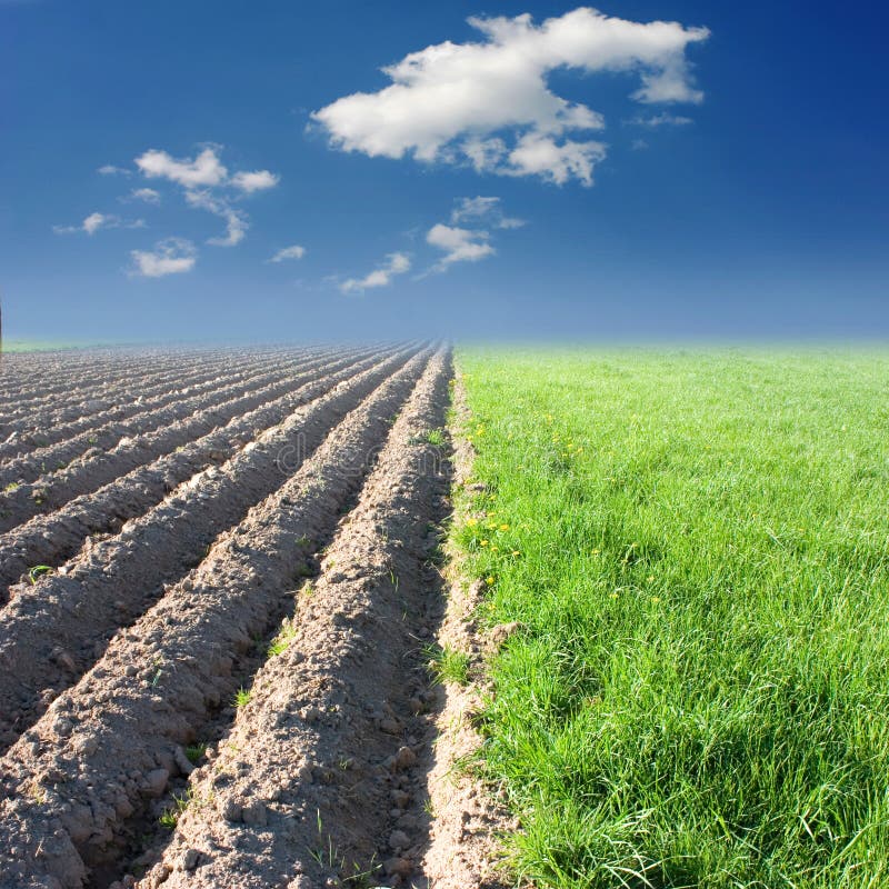 Green field fertile land stock image. Image of agriculture - 2506117