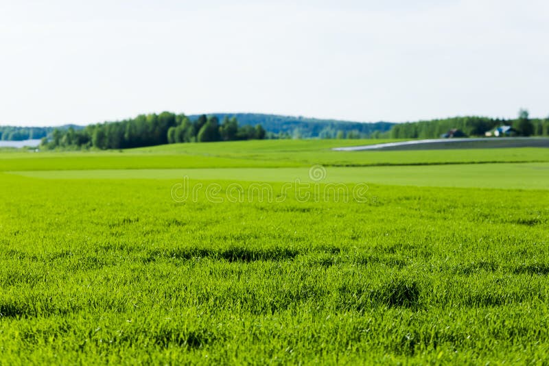 Field stock photo. Image of farm, farmstead, field, grass - 825476
