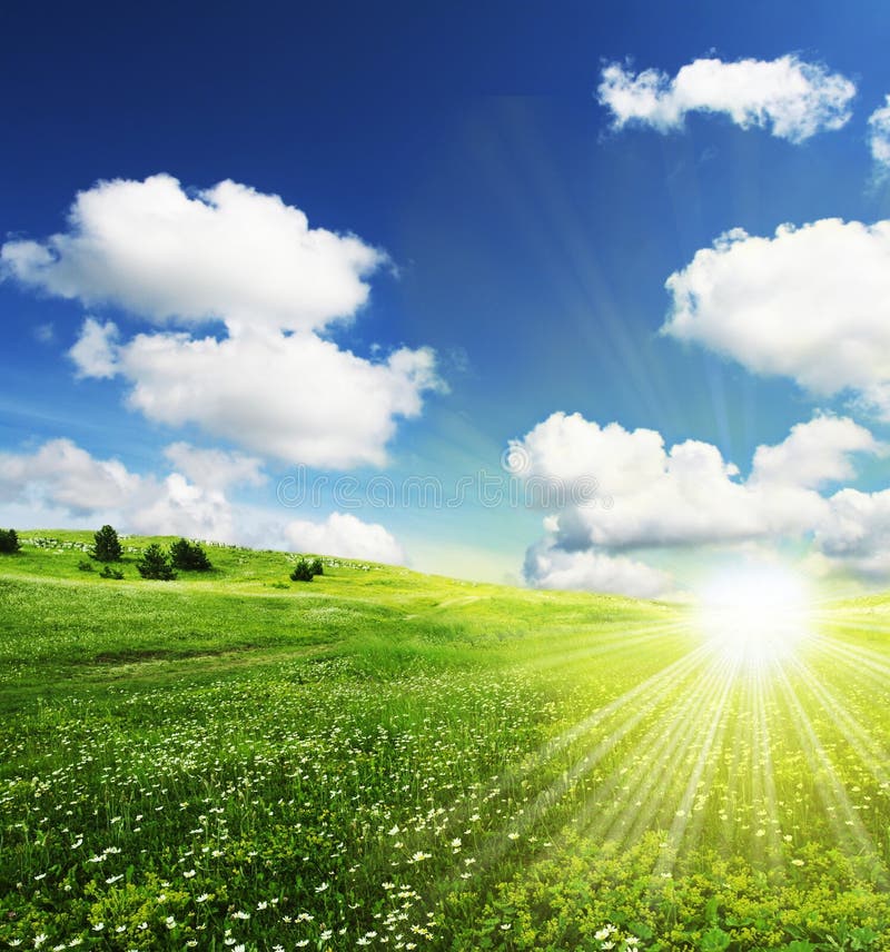 Field stock photo. Image of farmland, sunny, landscape - 7499936