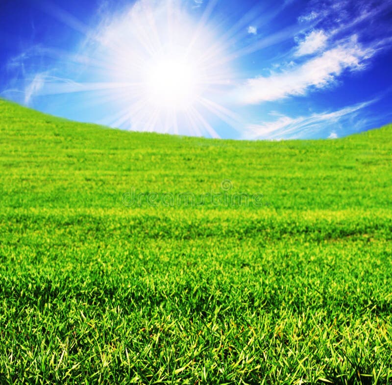 Sunny field stock image. Image of summer, grass, country - 4361537