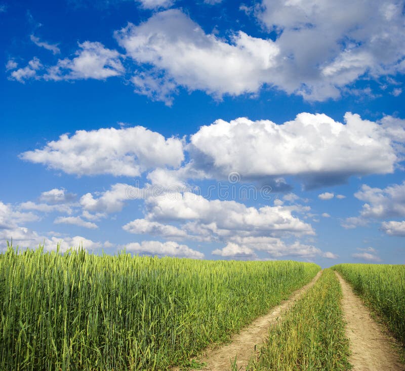 Field Picture. Image: 7868163