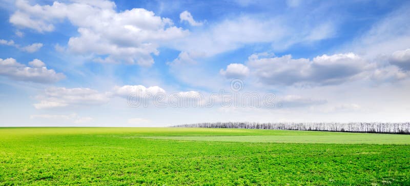 Cultivated field stock photo. Image of farmstead, farmland - 10055896