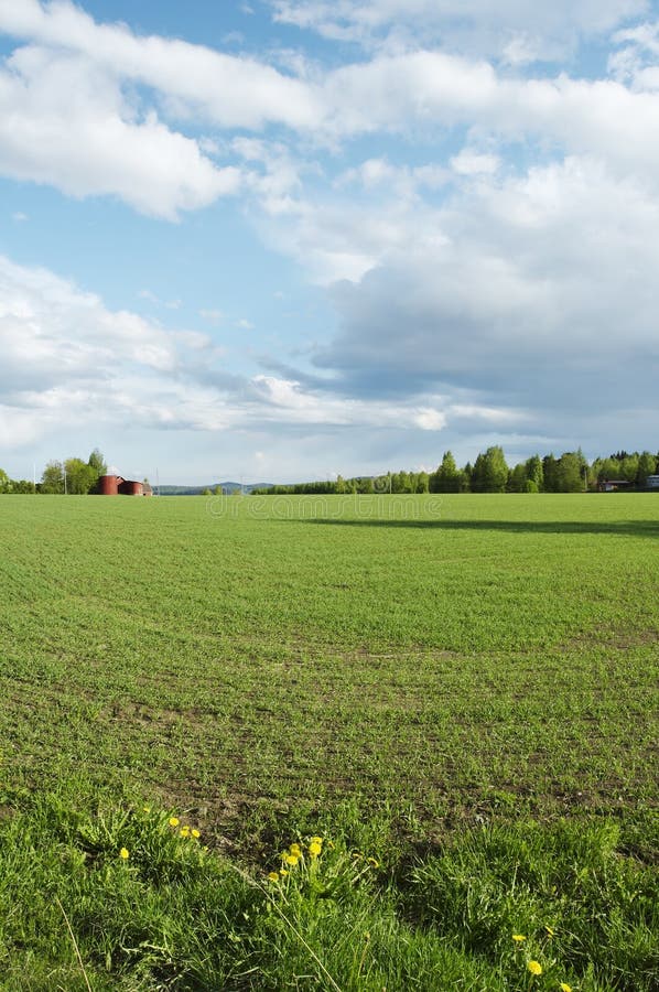Field stock photo. Image of farm, farmstead, field, grass - 825476