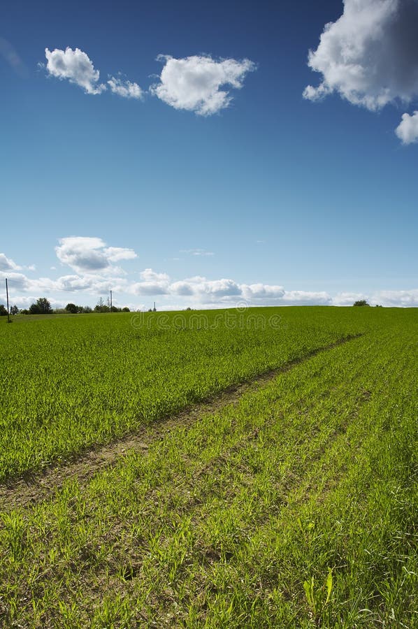 Field stock photo. Image of farm, farmstead, field, grass - 825476