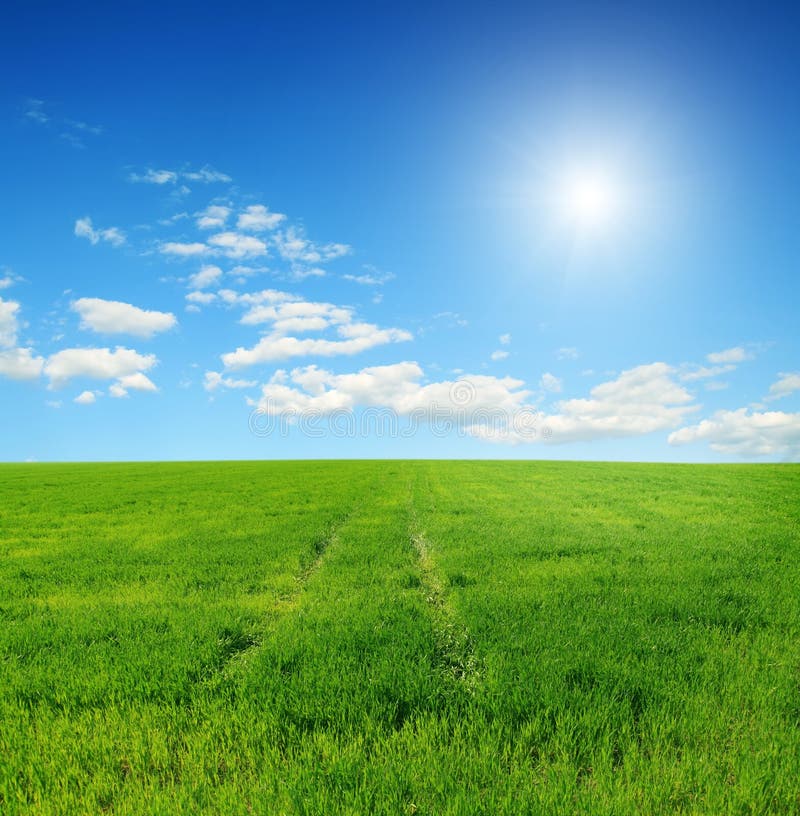 Field stock image. Image of season, rural, farming, field - 8518251