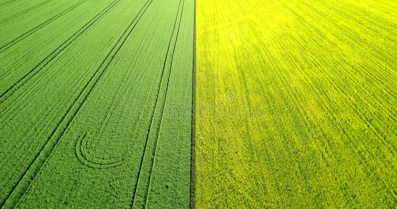 Field with Different Crops, Aerial View Stock Video - Video of natural ...