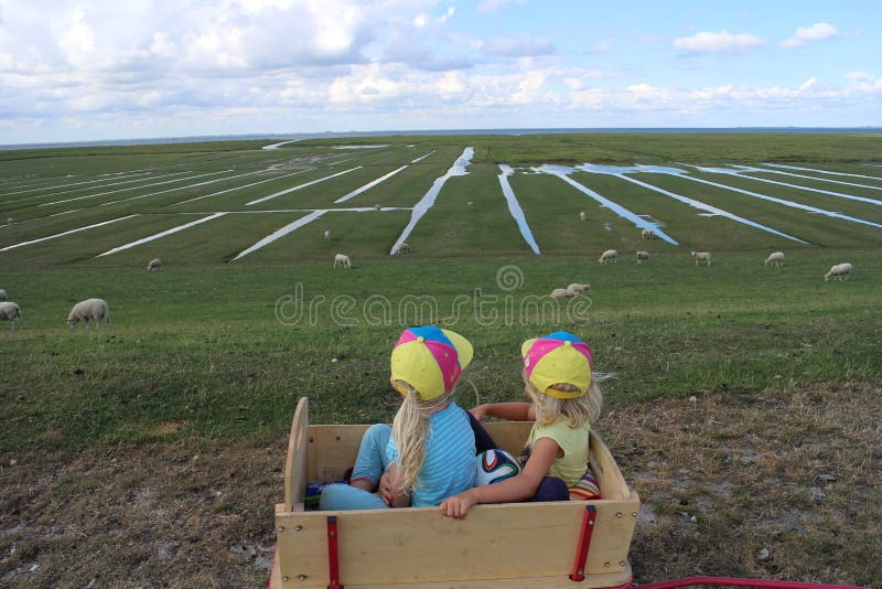 Field, Agriculture, Crop, Farm Picture. Image: 125934517