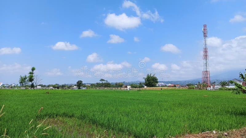 Field Agriculture Lanscape Indonesia Sky Stock Image - Image of hill ...