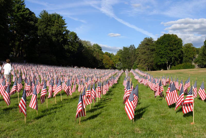 Field of American Flags stock photo. Image of soldier - 41984136