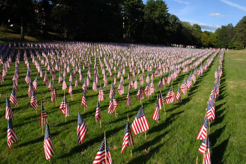 Field of American Flags during US Independence Day Stock Photo - Image ...