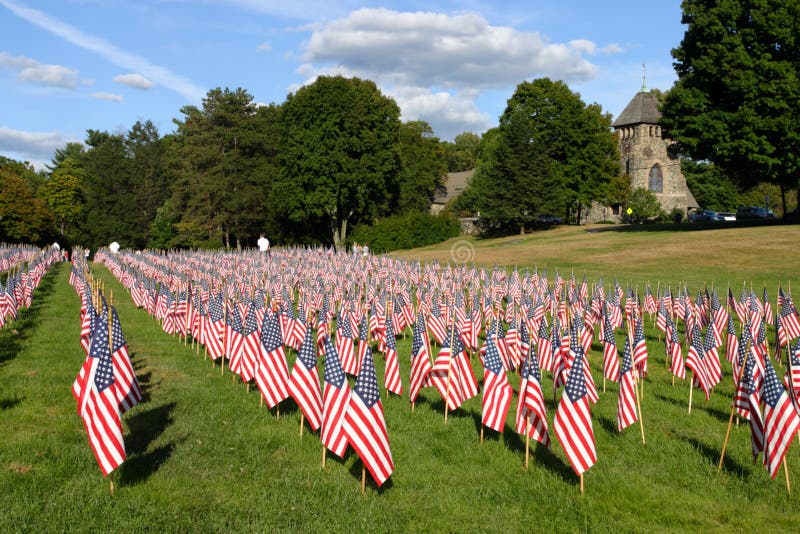 Field of American Flags during US Independence Day Stock Photo - Image ...