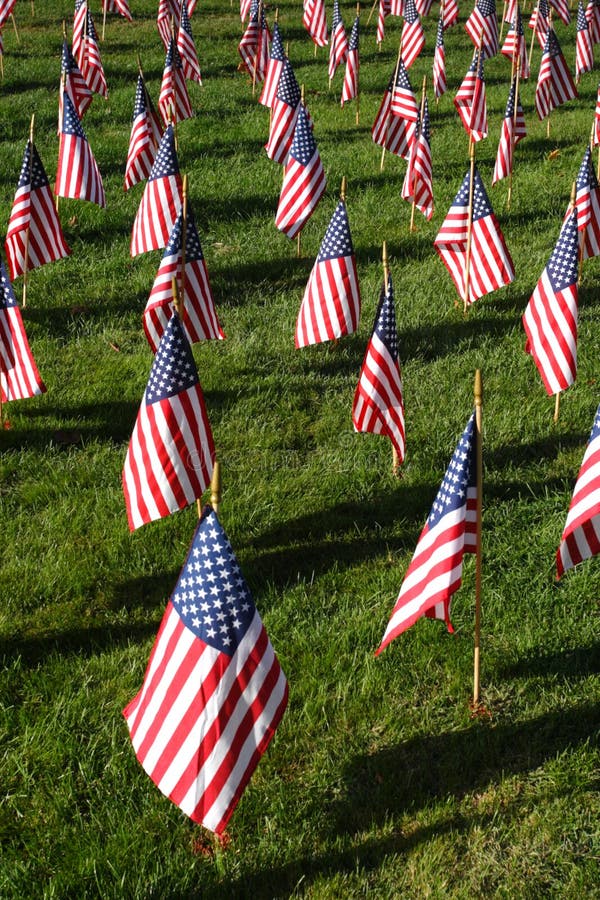 Field of American Flags during US Independence Day Stock Photo - Image ...