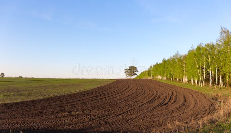 Field arable farmer. stock image. Image of agronomy, farming - 71802651