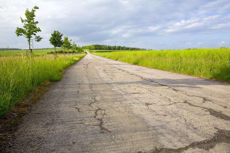 Field asphalt way stock image. Image of bush, sunlight - 28396327