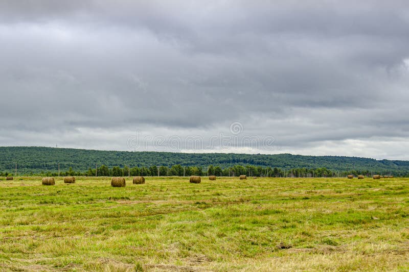 Field, autumn hay stock image. Image of collection, farmland - 241453199