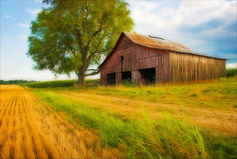 Field & Barn stock image. Image of field, farming - 13283099