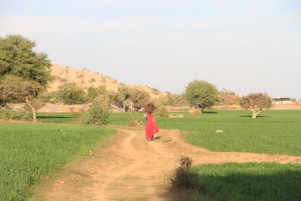 Field editorial stock image. Image of field, exotic - 107907669