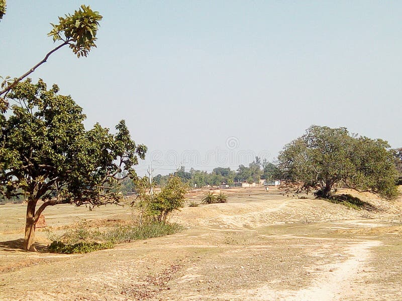 Field Beautiful Good Forest Park Stock Photo - Image of beautiful ...