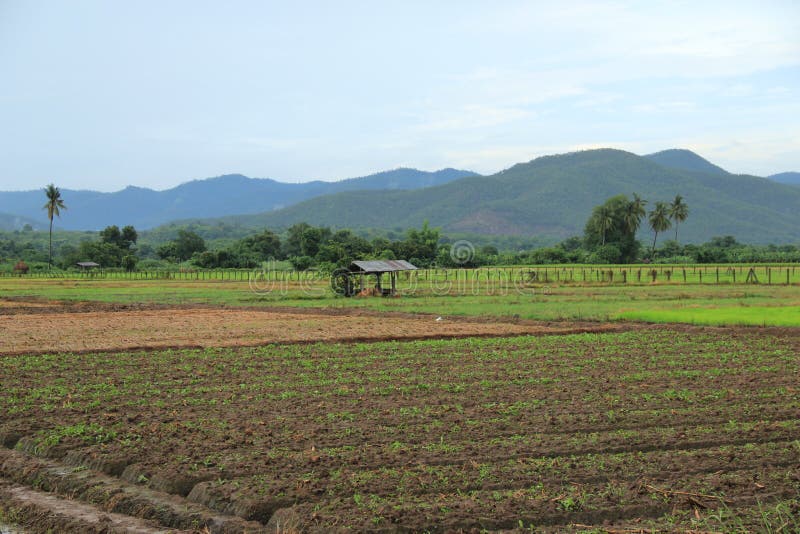 Field with a Beautiful Scenery Stock Photo - Image of field ...