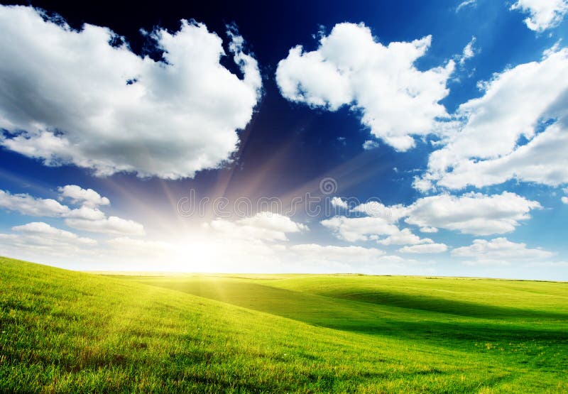 Field stock image. Image of farm, fresh, ecology, land - 141283785