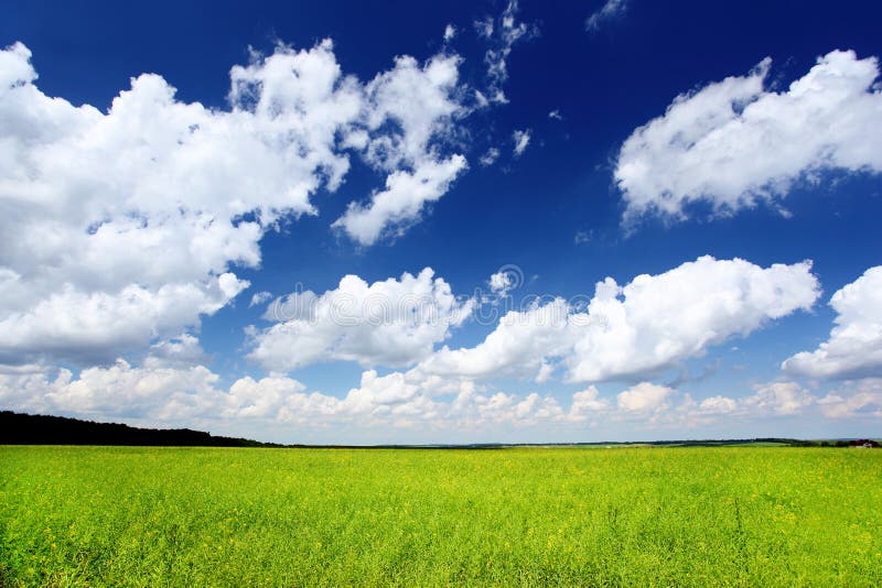 Field stock image. Image of lawn, illumination, cornfield - 141378237