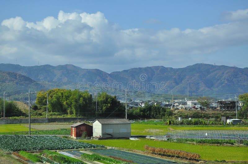 Field behind country house stock photo. Image of landscape - 53729298