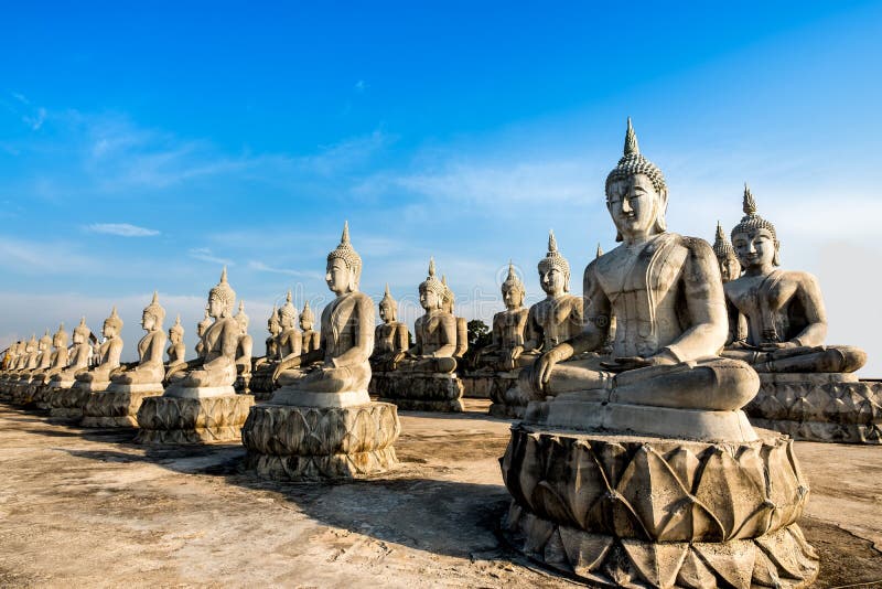 Field of Buddha Image stock photo. Image of buddhism - 142114332